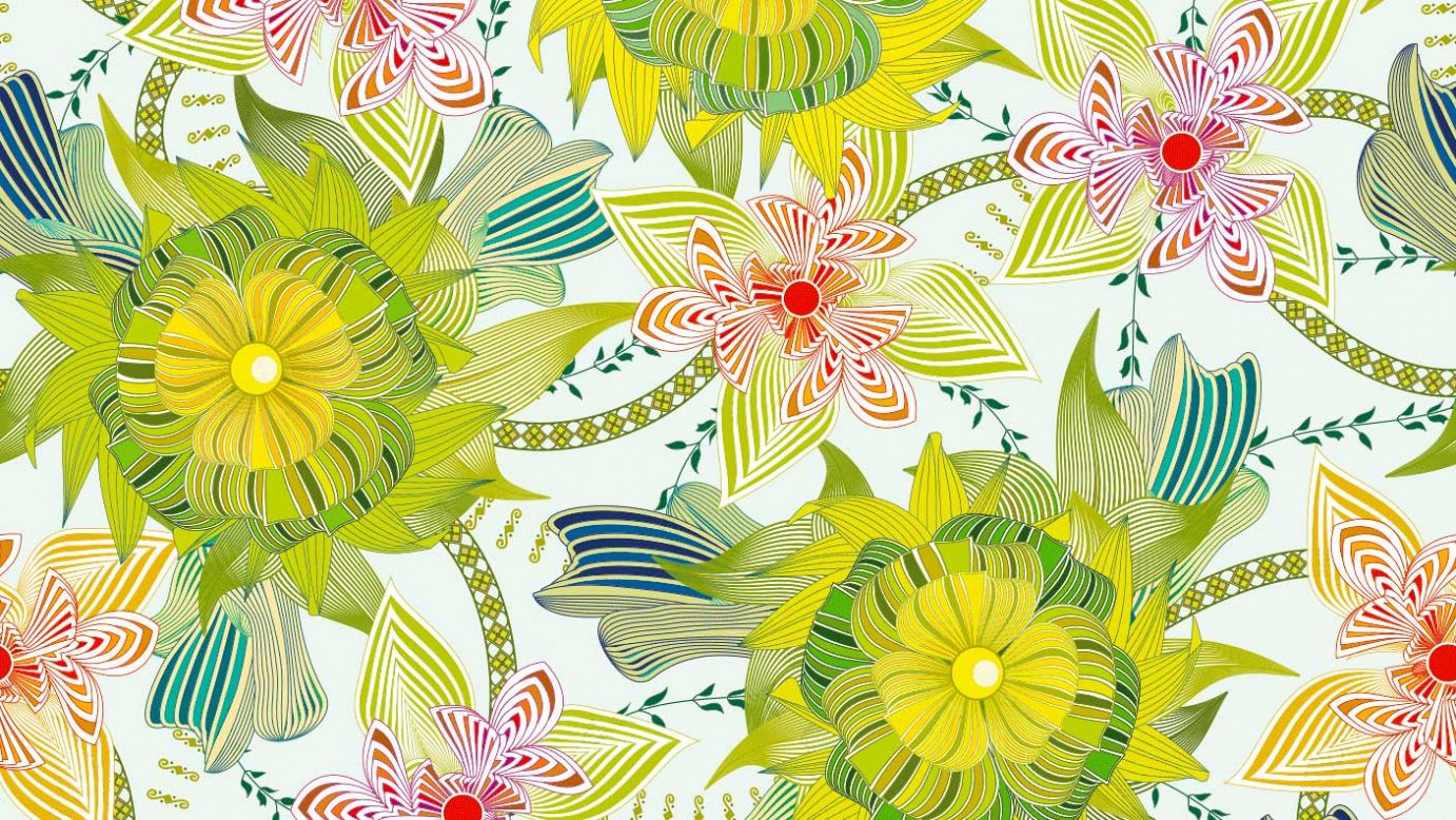 Le dessin vectoriel avec illustrator - AFDAS CPF